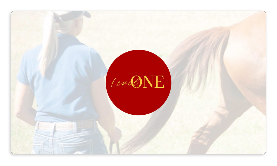 The Parelli Levels Program