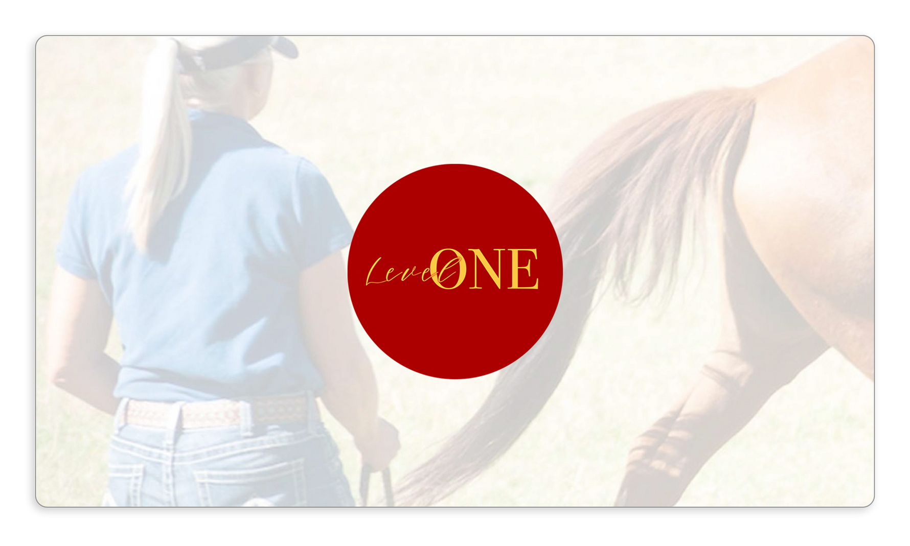 The Parelli Levels Program